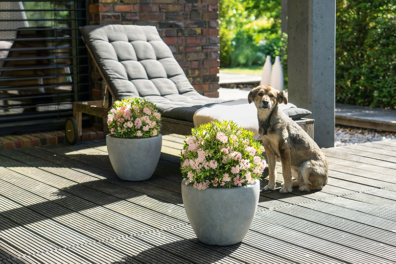 "Lösungen des Jahres": 12 Produkte für den Garten, die Profis begeistern