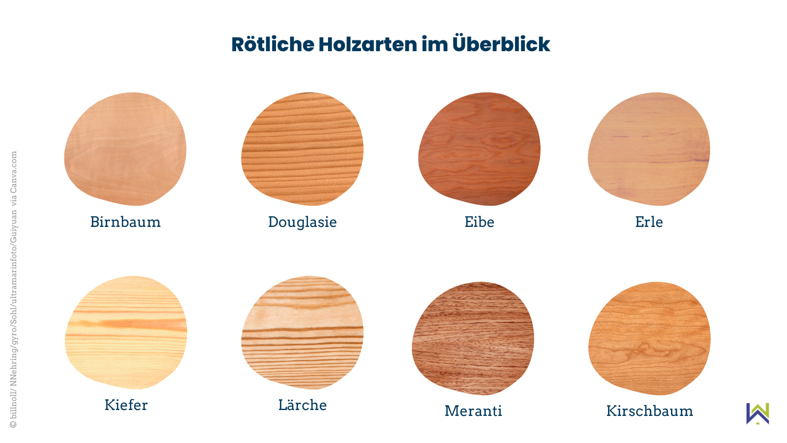 Holzarten richtig kombinieren: So wirken verschiedene Hölzer im Raum