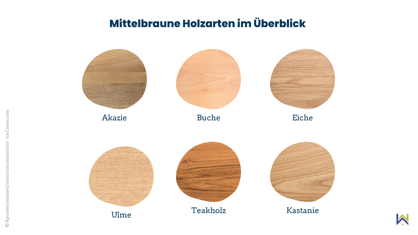Holzarten richtig kombinieren: So wirken verschiedene Hölzer im Raum