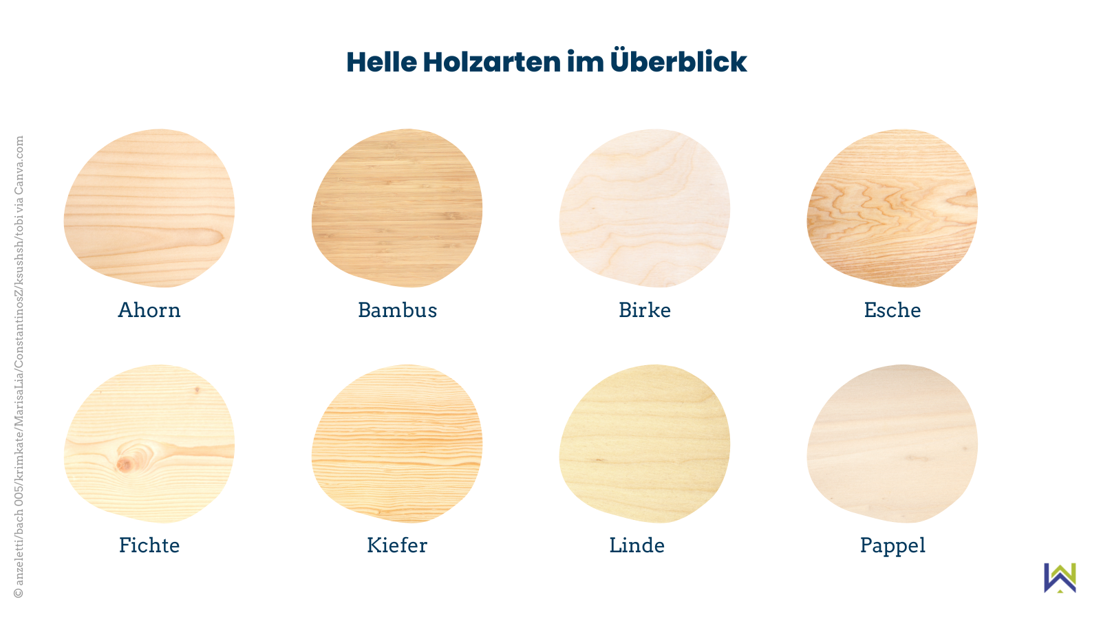 Holzarten richtig kombinieren: So wirken verschiedene Hölzer im Raum