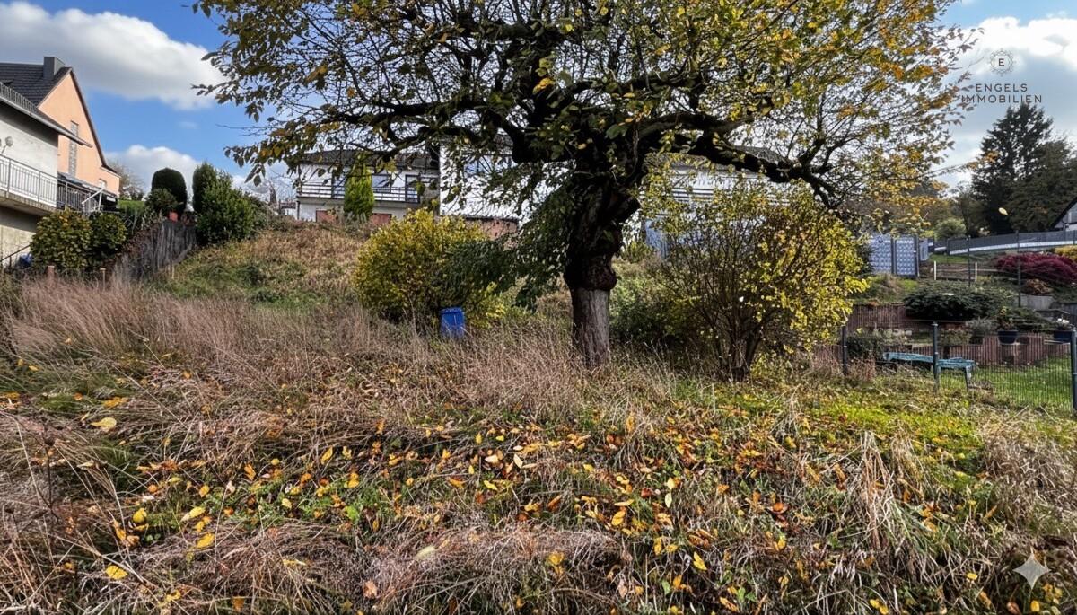 Wohn-Grundstück in Neuwied / Segendorf | Wohnglück.de