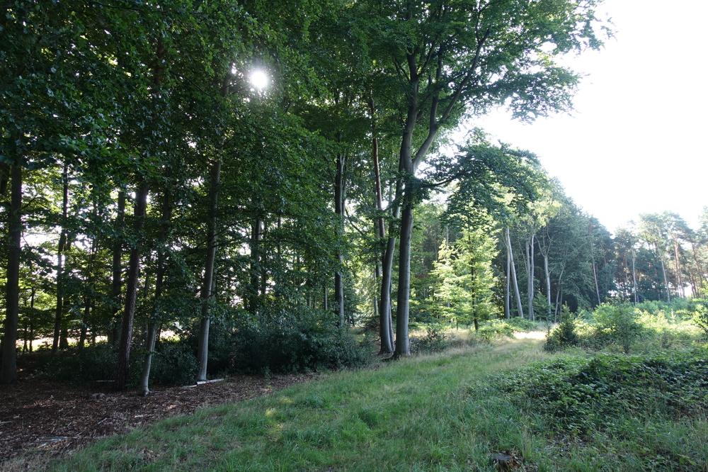 Sonstige in Wietzen | Wohnglück.de